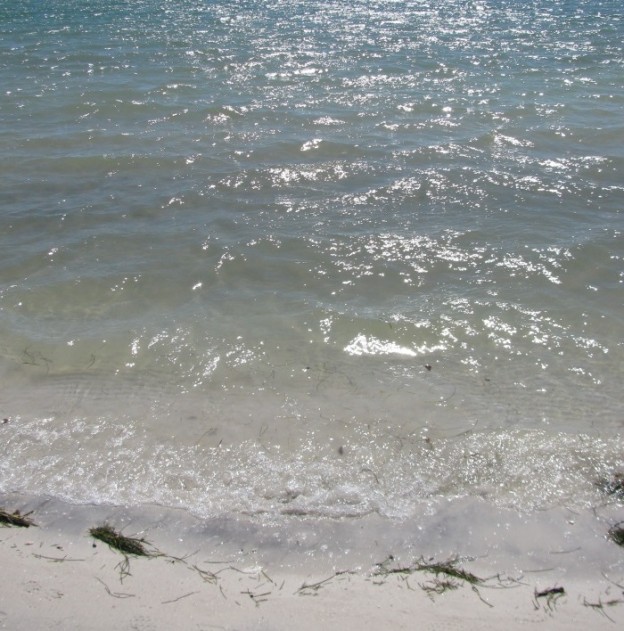 Barrier Islands of the Central Gulf Coast of Florida