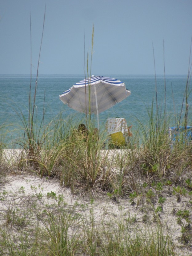 Wild Winter Wonders on the Florida Gulf Coast