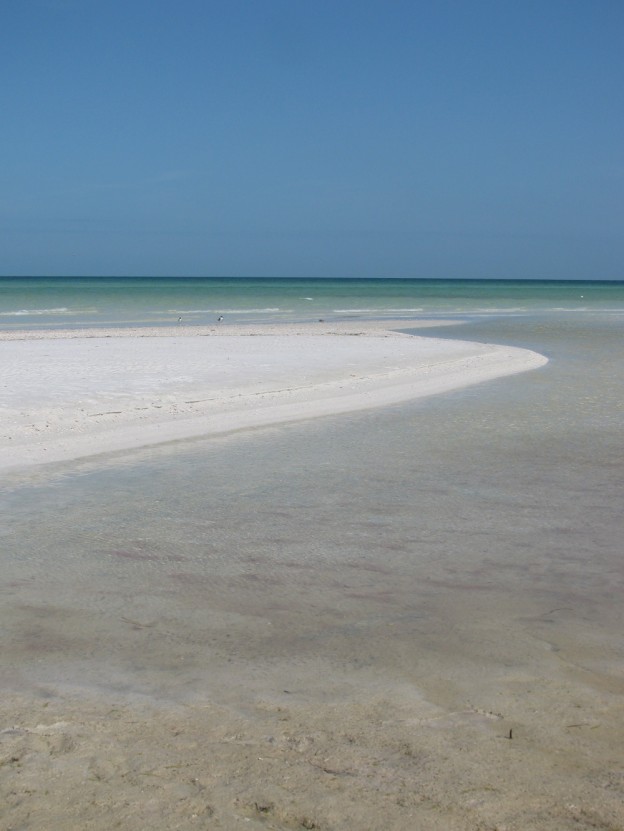 Sandbar Island Paradise