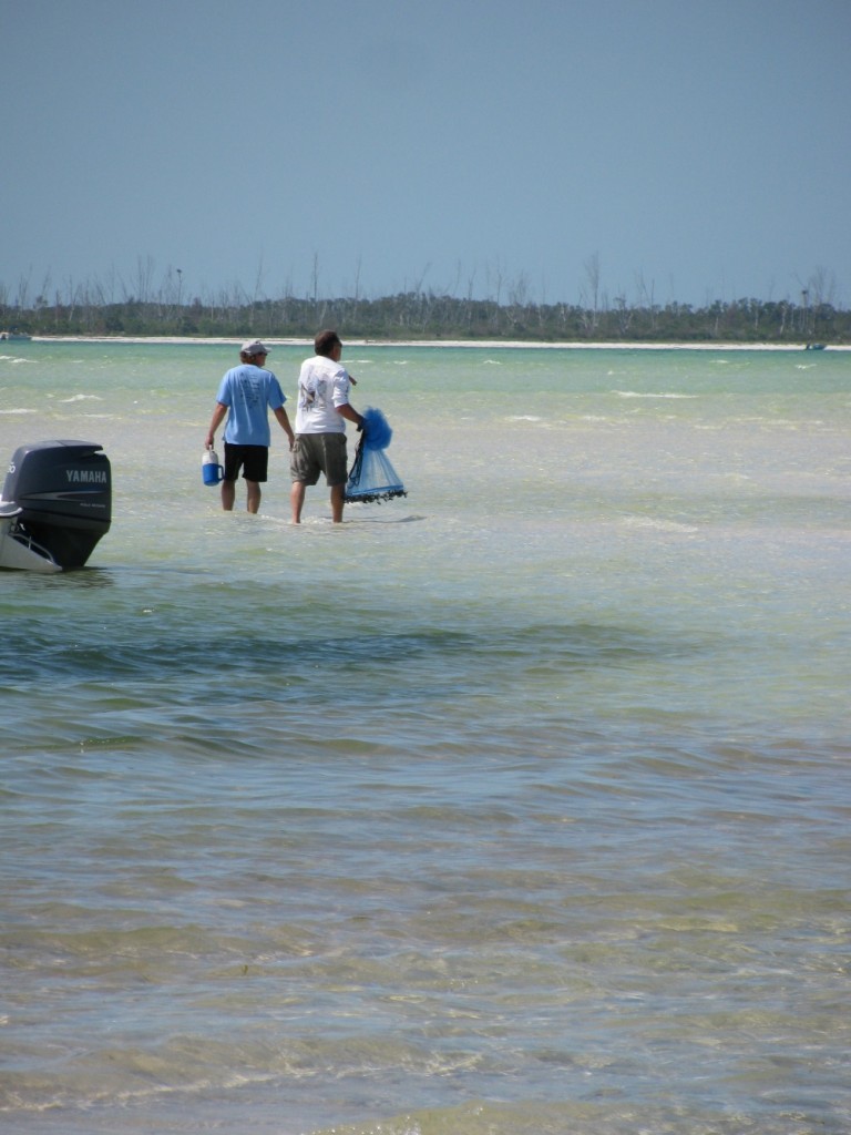 Sandbar Island Paradise