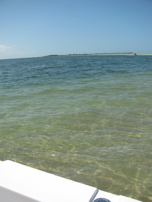 Sandbar Island Paradise