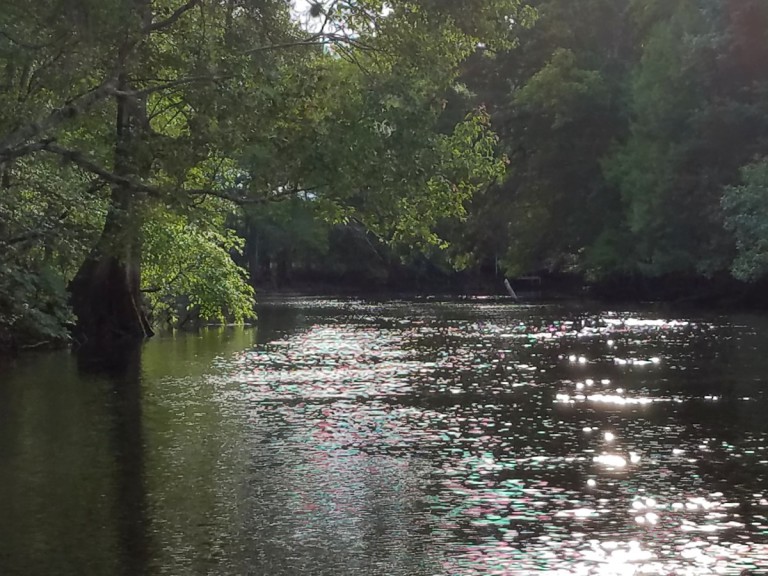 Slow Ride up the Withlacoochee River