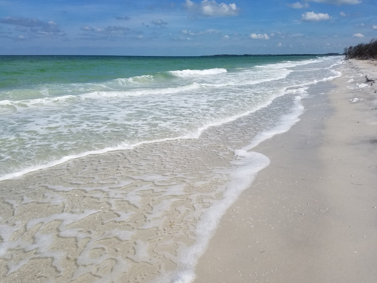 Island Time with Kids on the West Florida Coast