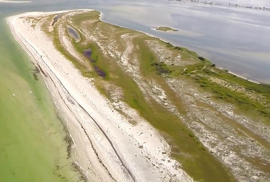 What Do You Know about Hog Island?